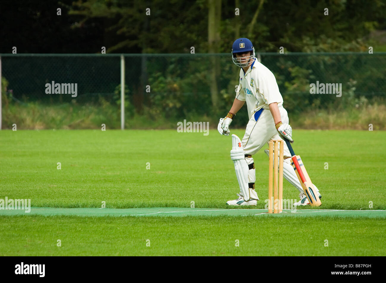 a man playing cricket Stock Photo - Alamy