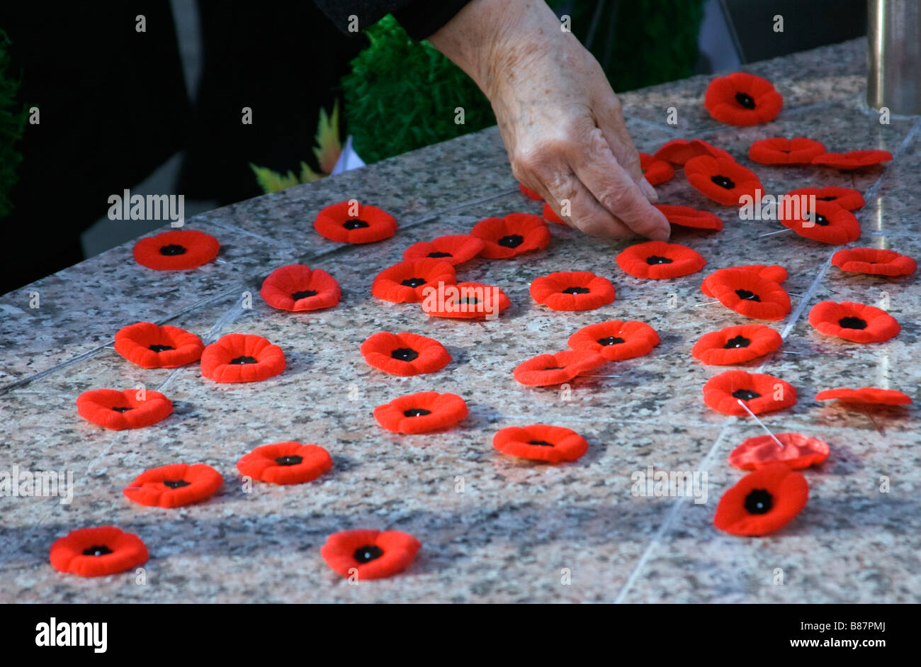 An older woman places her poppy at the base of the cenotaph at The ...