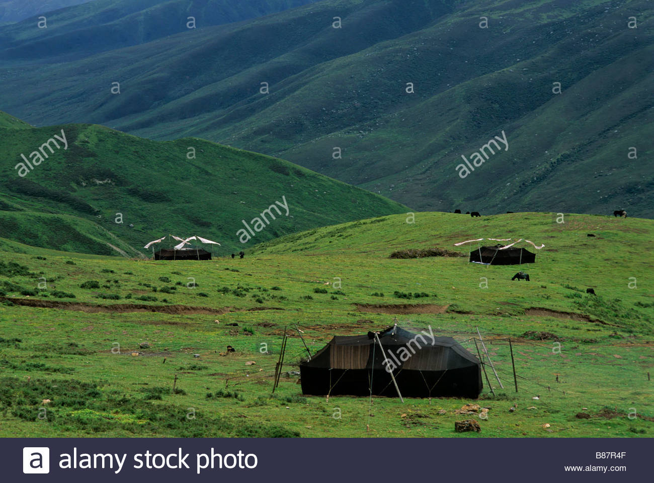 Derge High Resolution Stock Photography and Images - Alamy