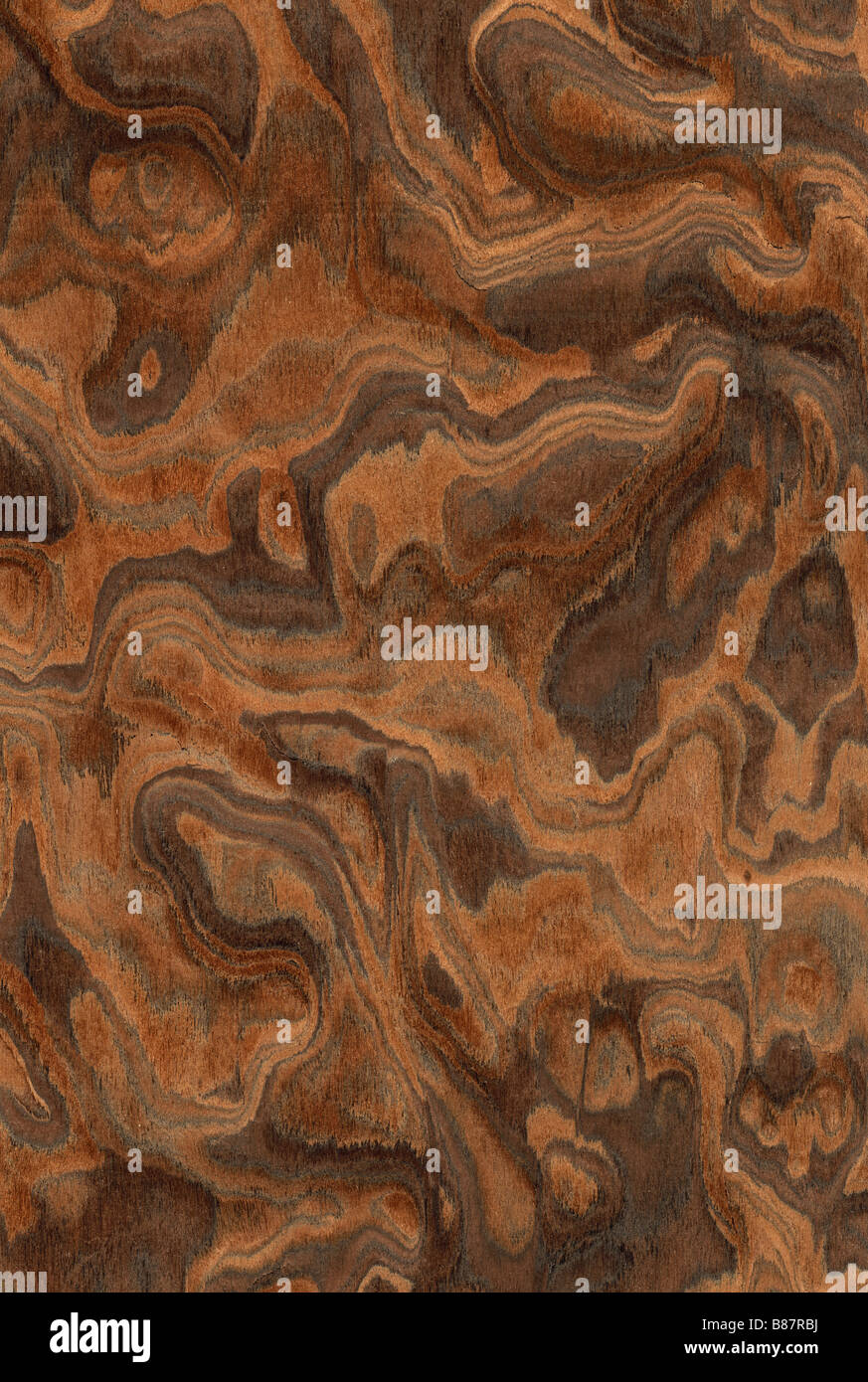 Texture of walnut s root sawing high detailed wood texture series Stock ...