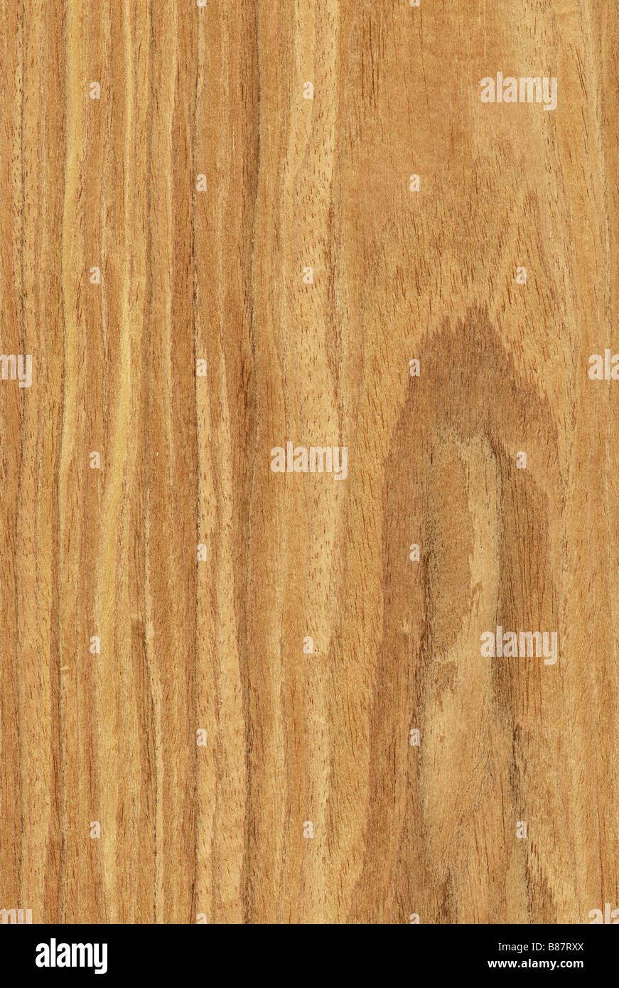 Walnut panels hi-res stock photography and images - Alamy