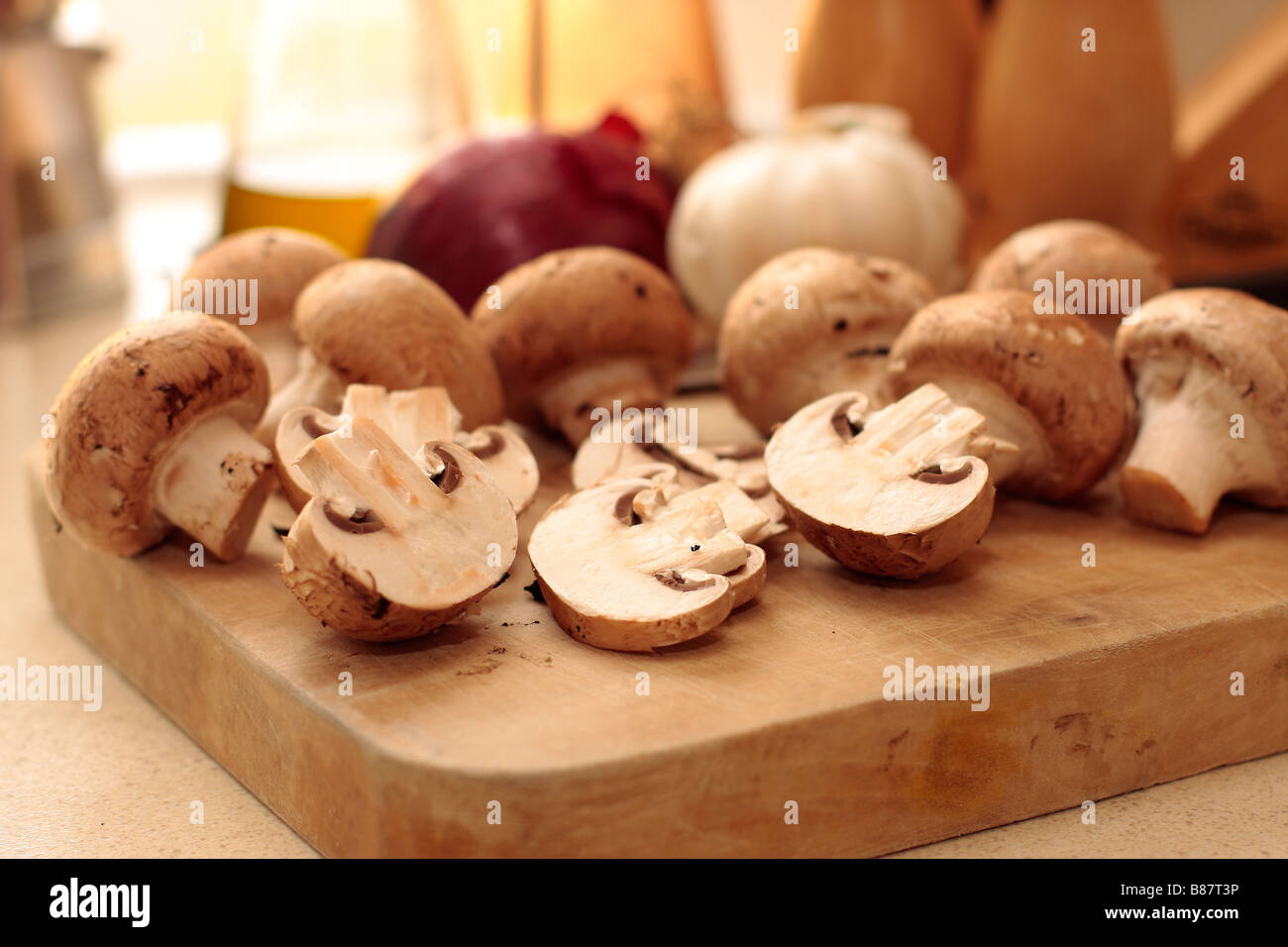 Funghi agaricus hi-res stock photography and images - Alamy