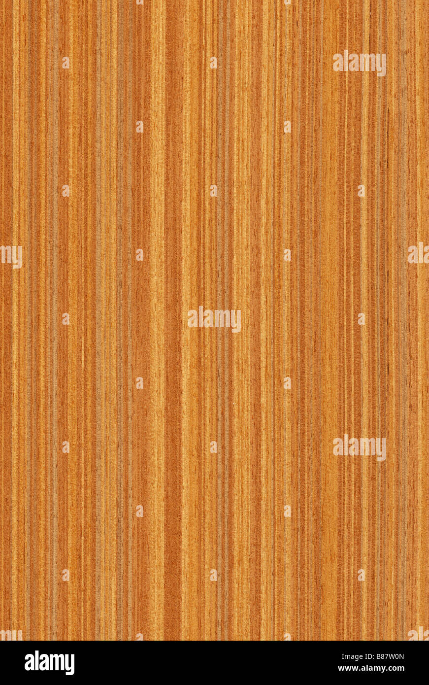 Texture of teak high detailed wood texture series Stock Photo - Alamy