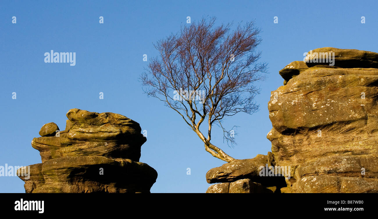 Brimham rocks geology hi-res stock photography and images - Alamy