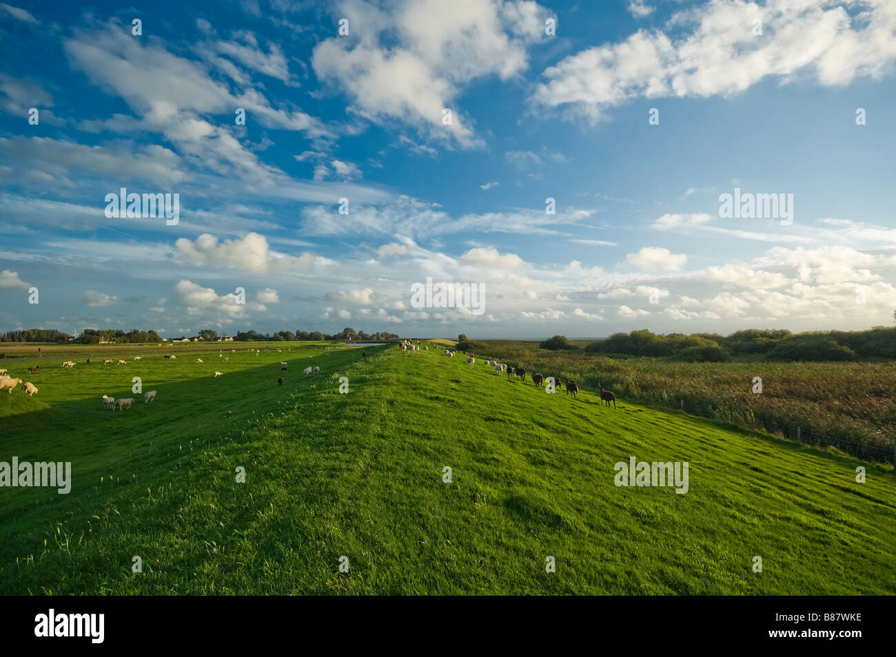 Beautiful idyllic farmland meadow hi-res stock photography and images ...