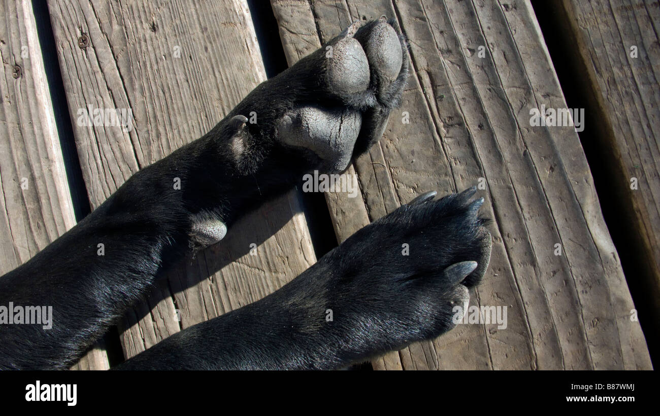 Colorado mix hi-res stock photography and images - Alamy