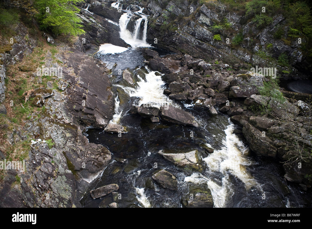 Rogie Falls on the Blackwater River, Torrachilty Forest, Contin Ross ...