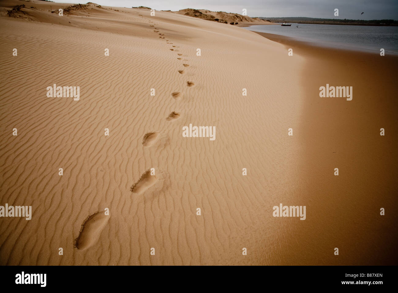 Human tracks hi-res stock photography and images - Alamy