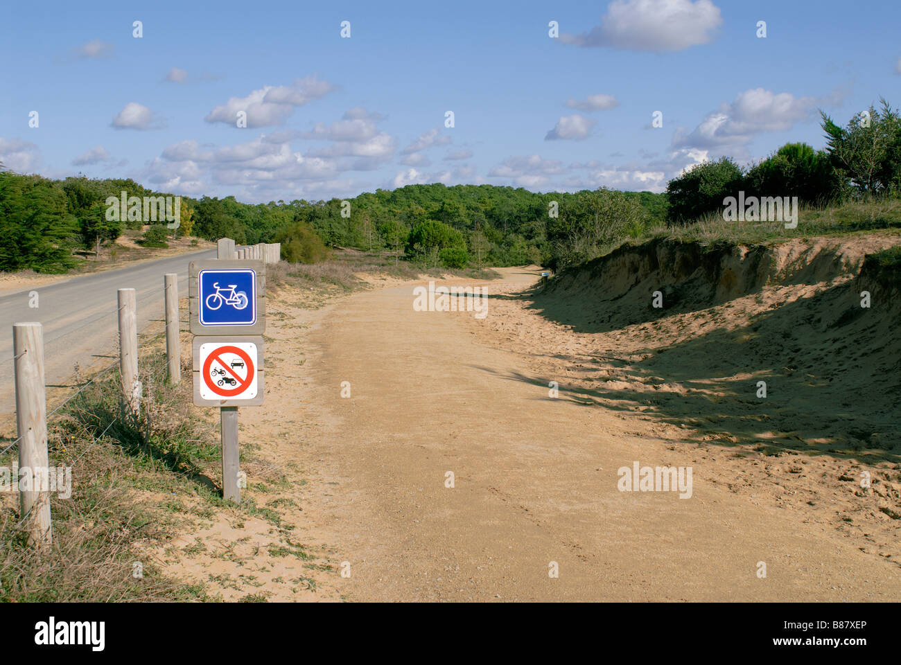 Cycle Track in Vendee Western France in 2008 Stock Photo - Alamy