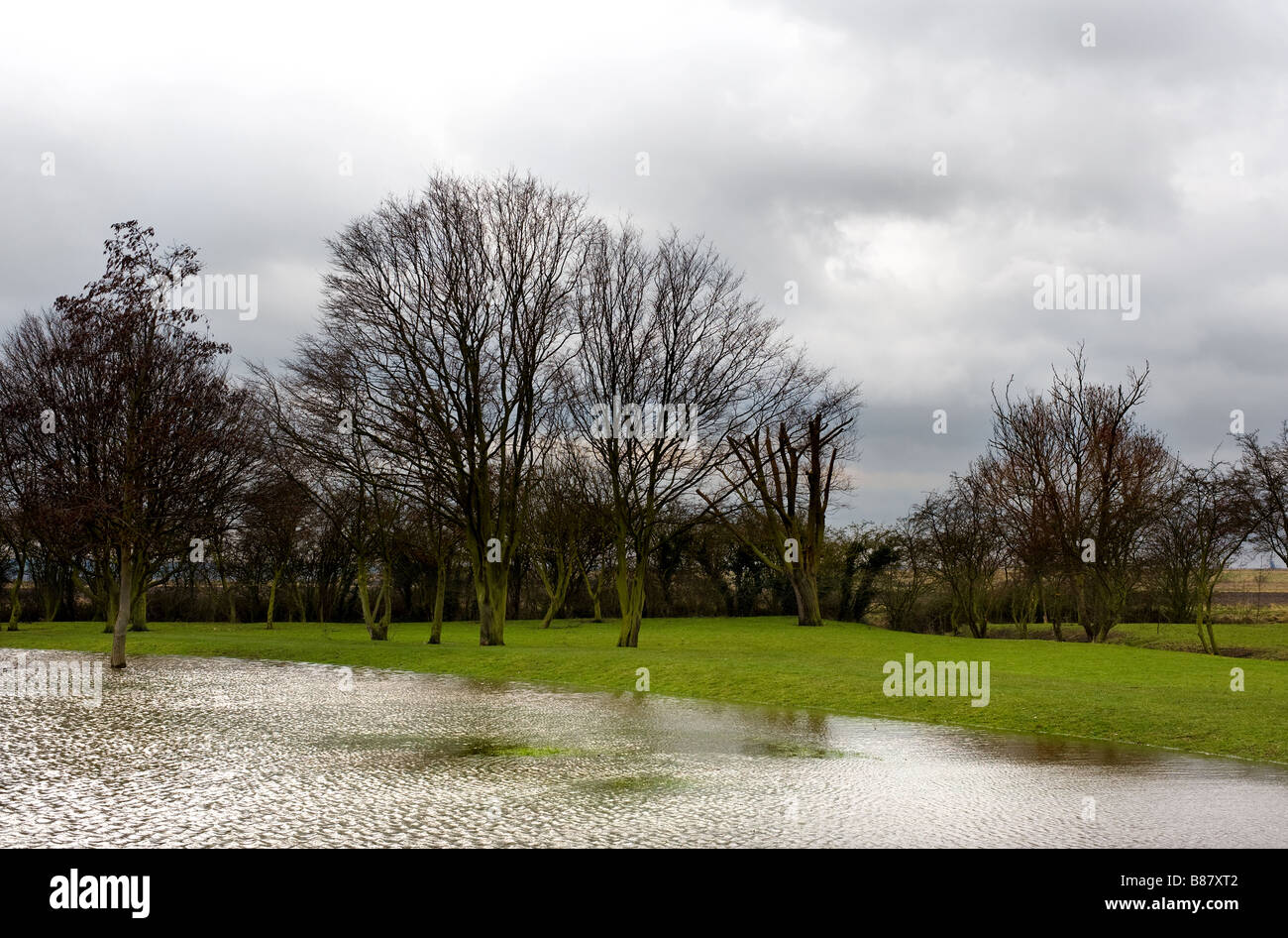 Waterlogged trees hi-res stock photography and images - Alamy