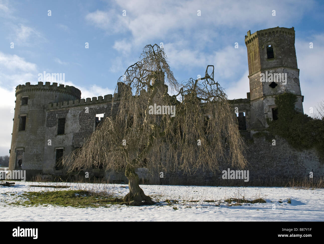 Willow tree and Kilwaughter Castle near Larne County Antrim Northern ...