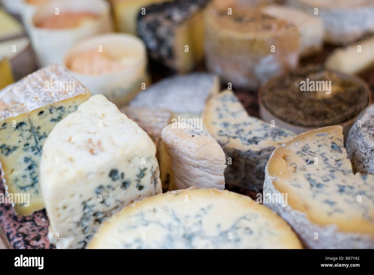 Selection of Fine Cheese Stock Photo - Alamy