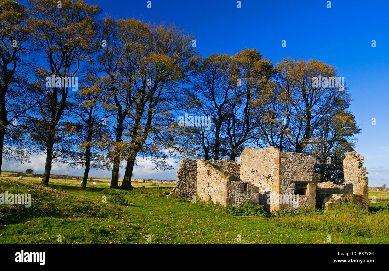 Abandoned farm building and trees on Middleton Moor near Wirksworth in ...
