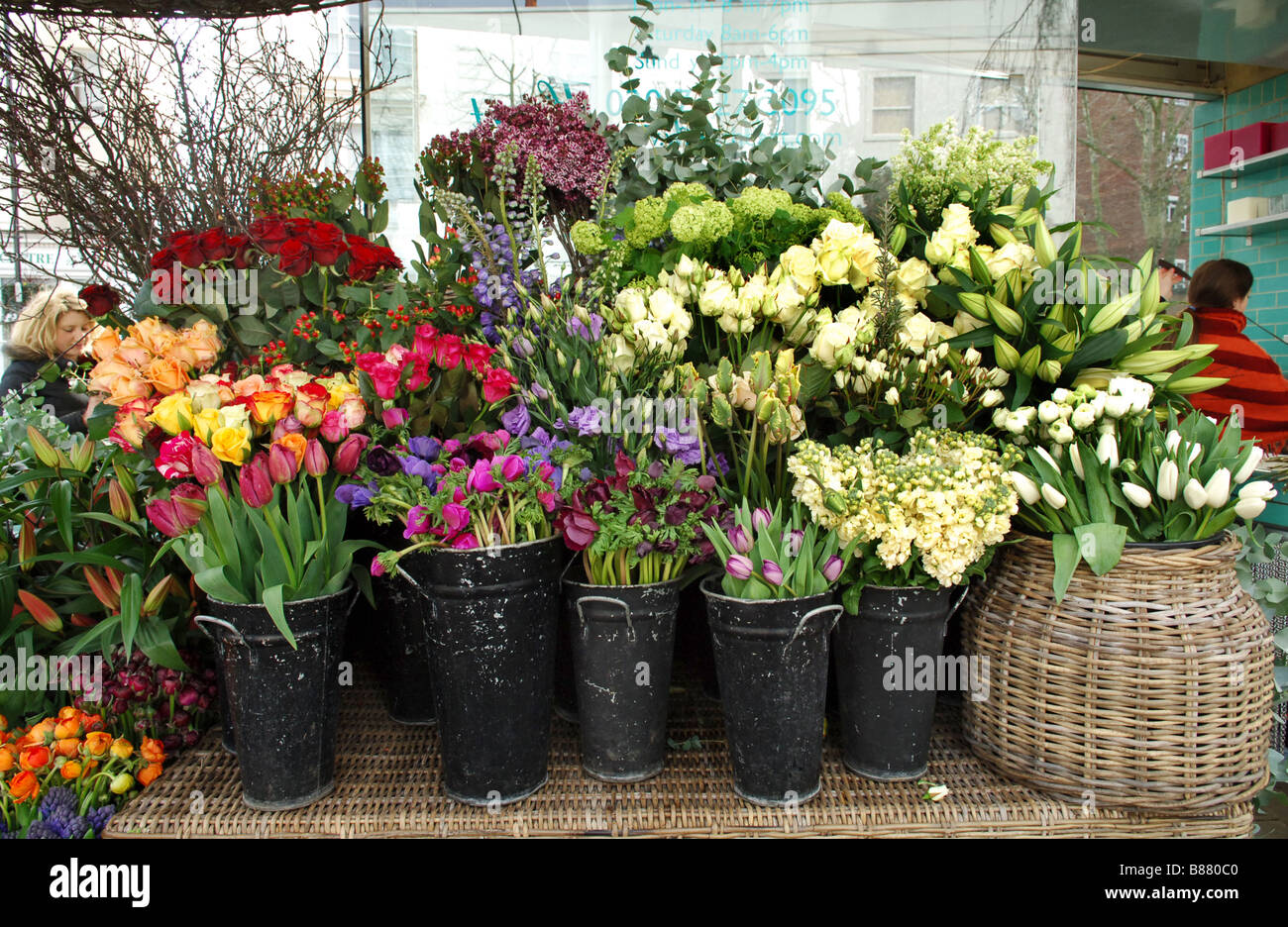 Selection of different flowers for sale in Wild at Heart florists at ...