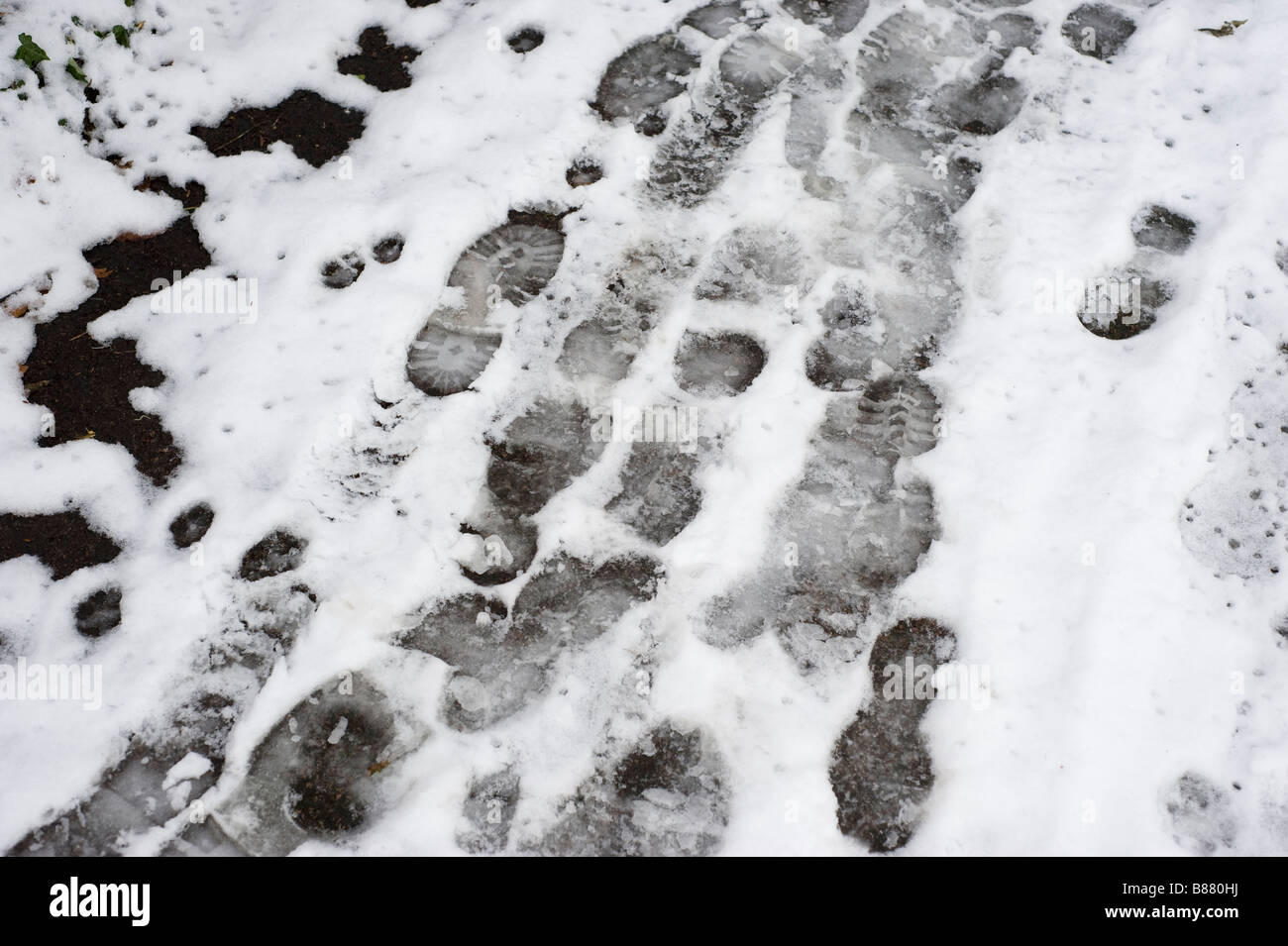 Footprints in snow Stock Photo - Alamy