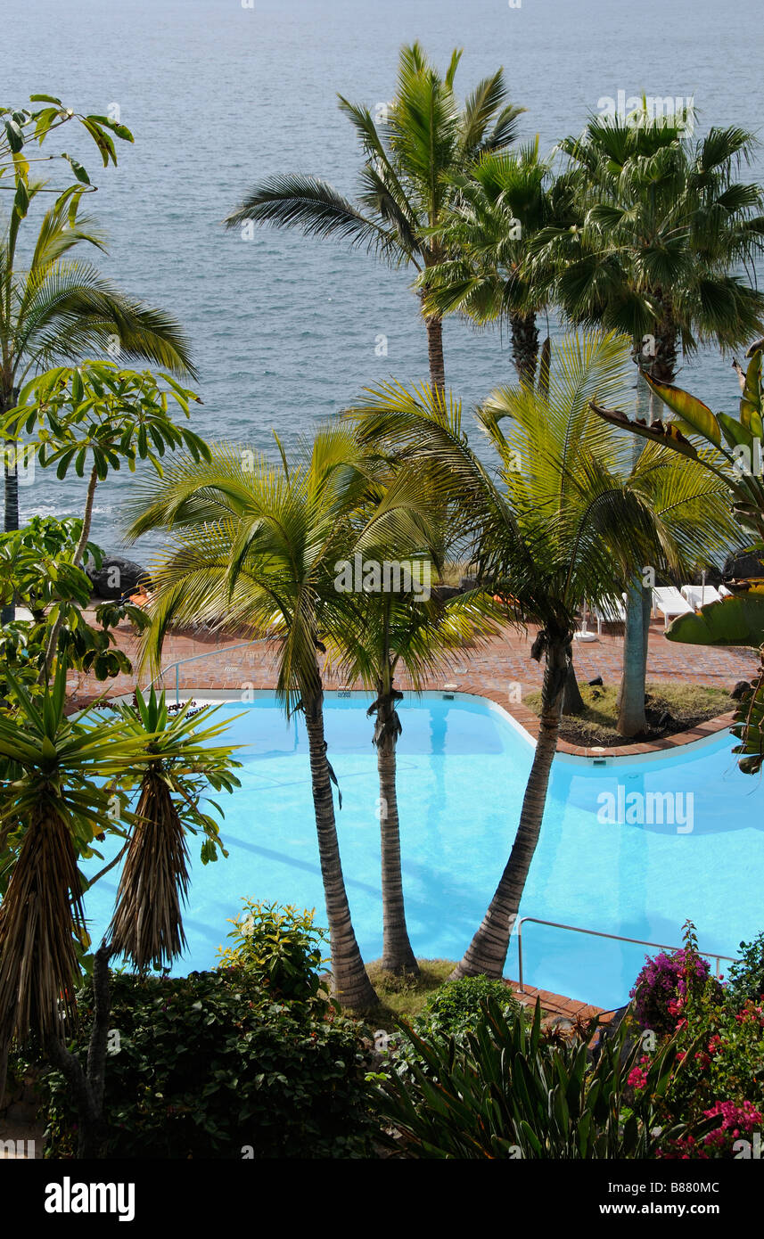 Swimming pool and poolside palm trees on the Costa Adeje south Tenerife ...