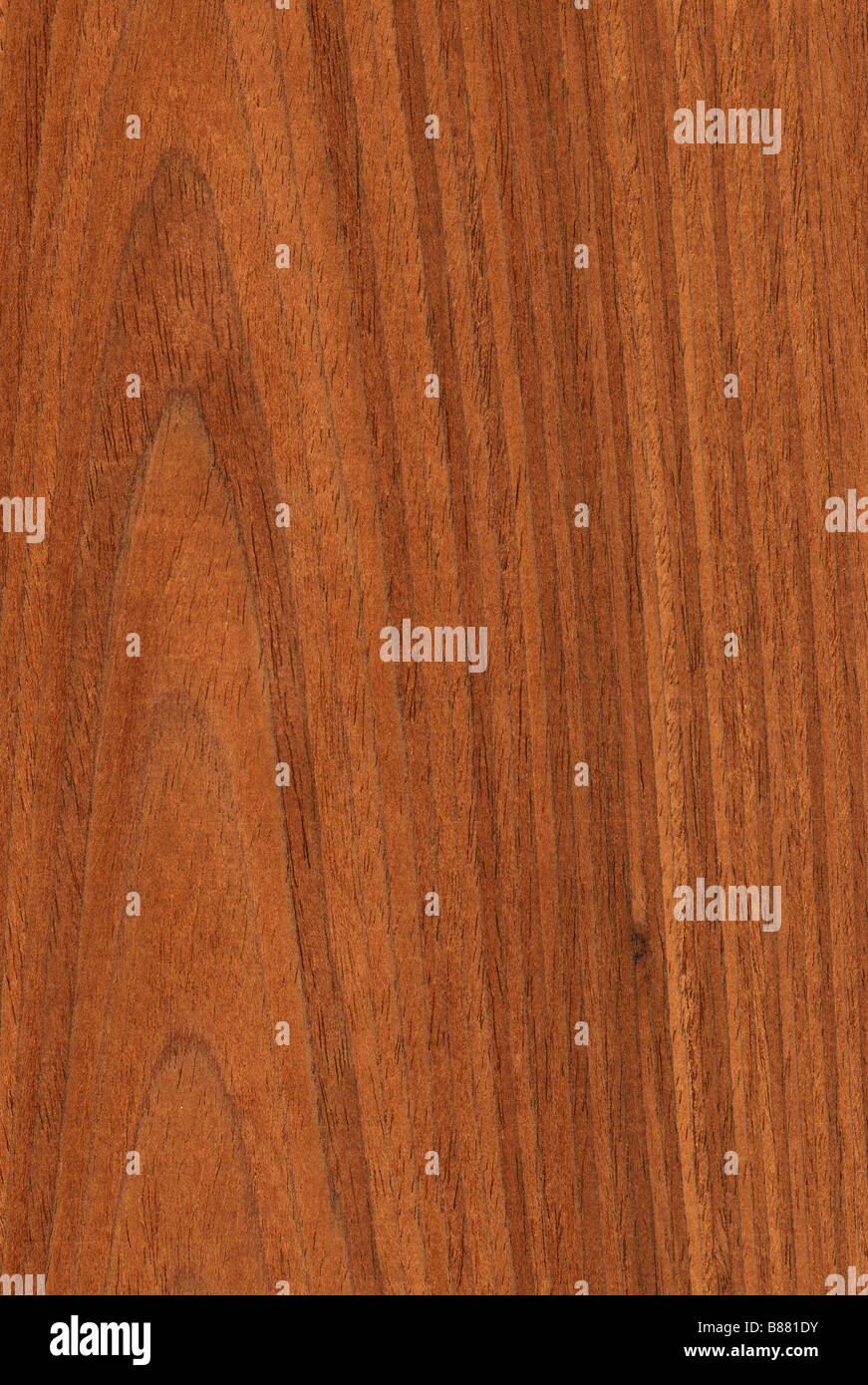 Walnut Veneer Texture Stock Photos & Walnut Veneer Texture Stock Images ...