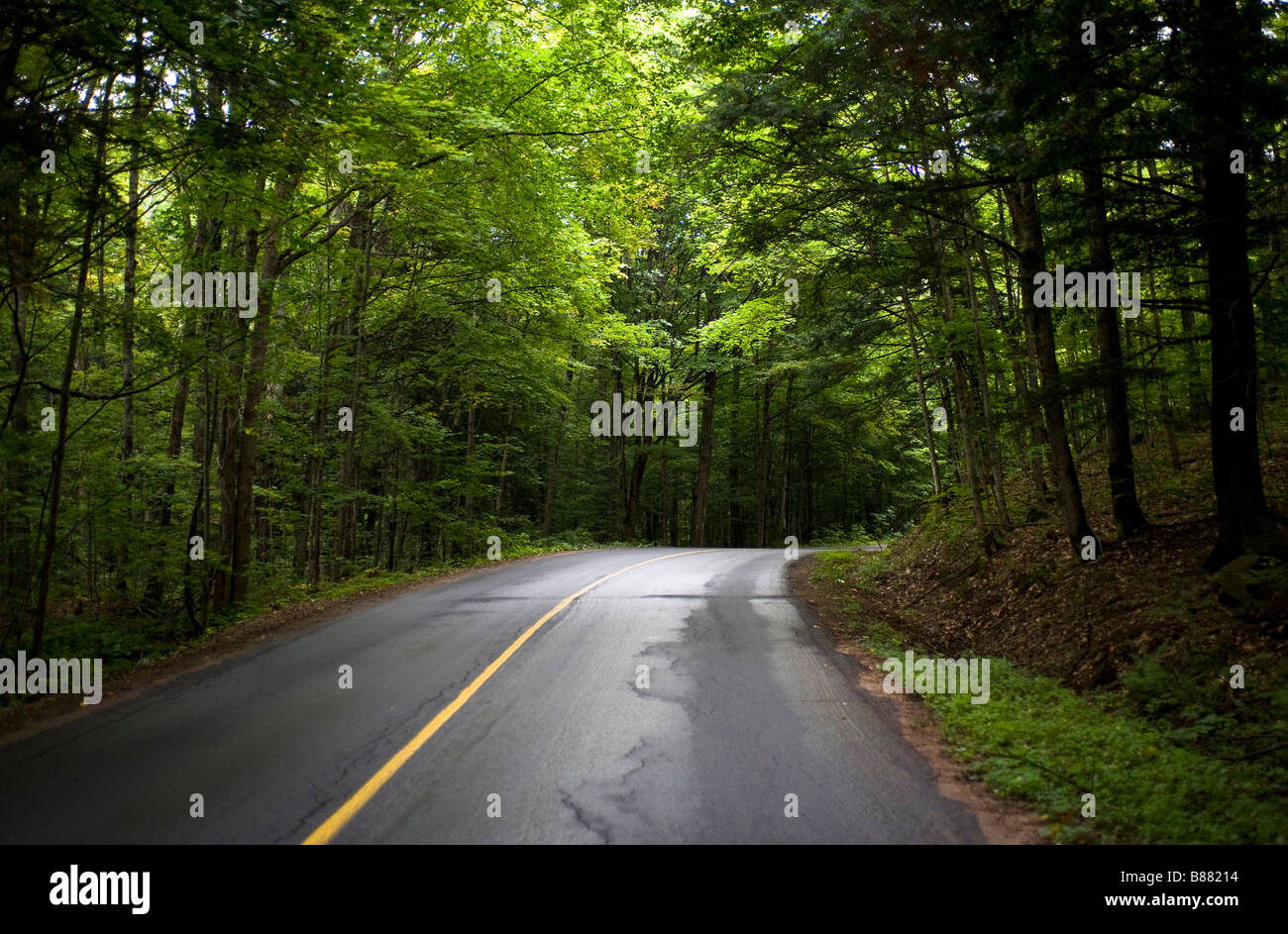 Muskoka woods hi-res stock photography and images - Alamy