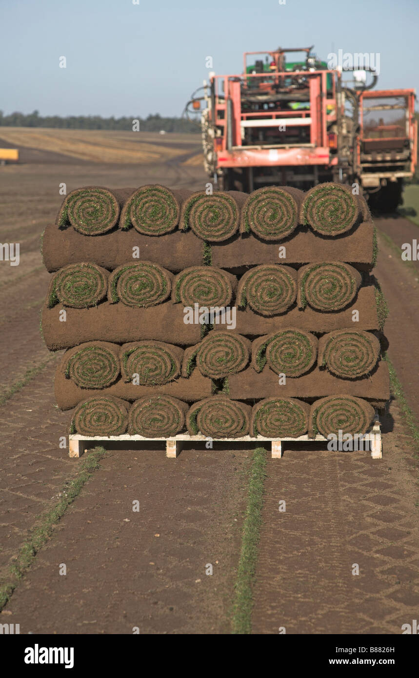 Turf Rolls High Resolution Stock Photography and Images - Alamy