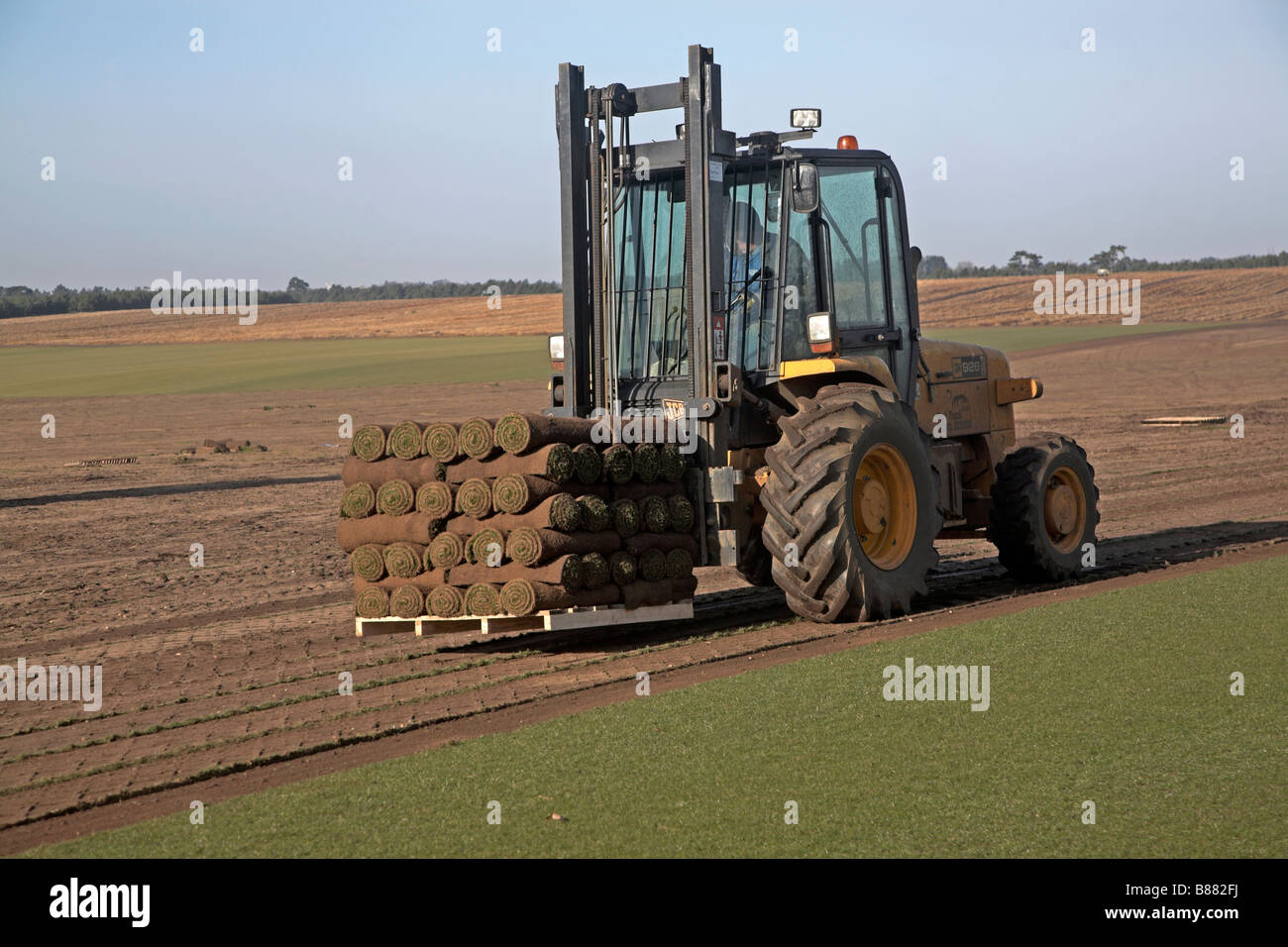 Commercial grass turf cutting Sutton Suffolk England Stock Photo - Alamy