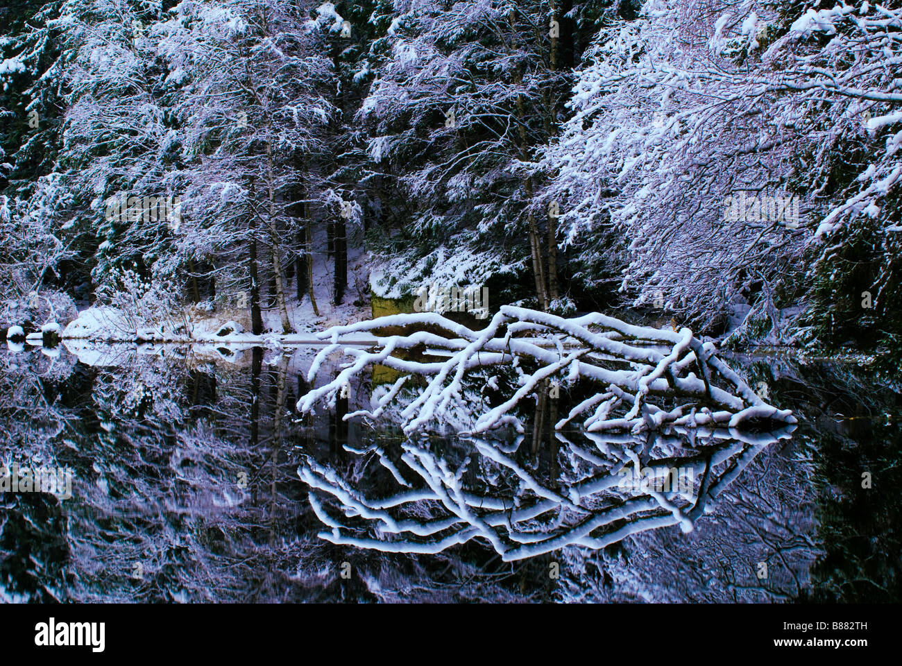 River and snow on river banks hi-res stock photography and images - Alamy