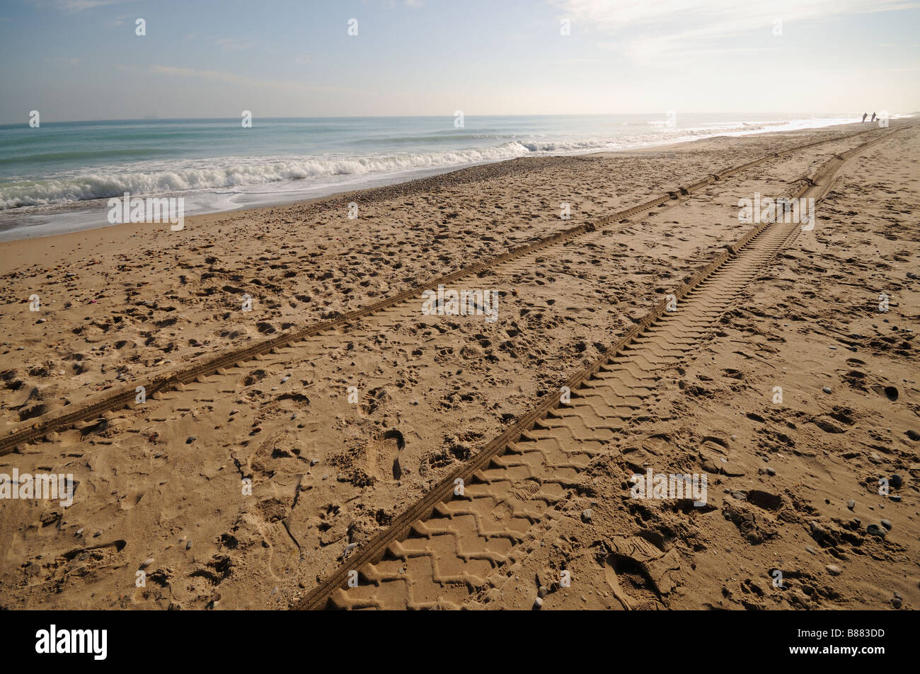 Wheel marks in the sand and two people with dog by the seashore. El ...