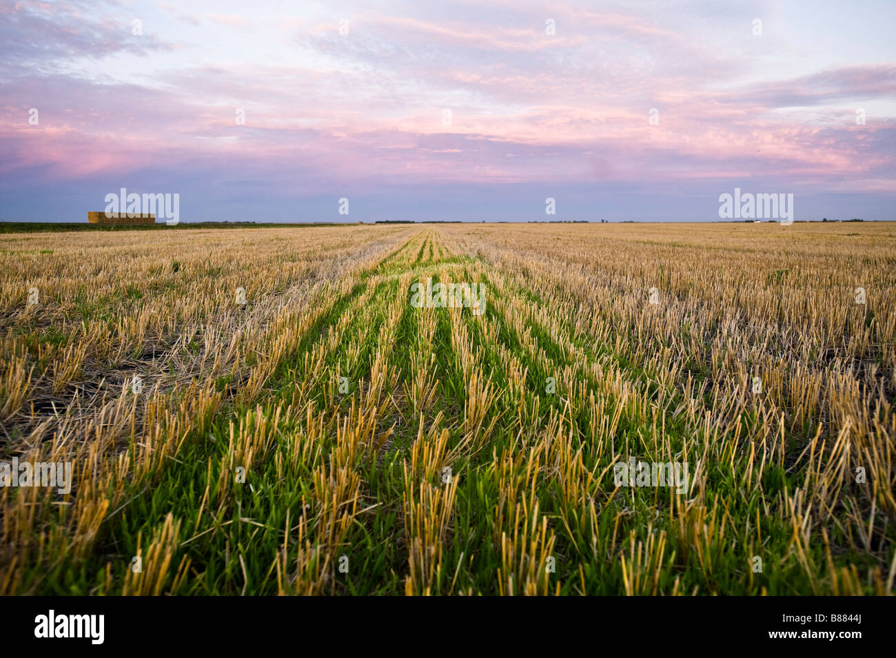 Design pics harvest hi-res stock photography and images - Alamy
