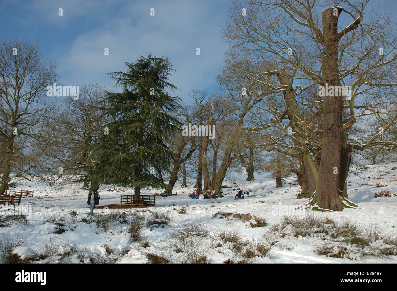Colour photography outdoors day horizontal english british britain ...