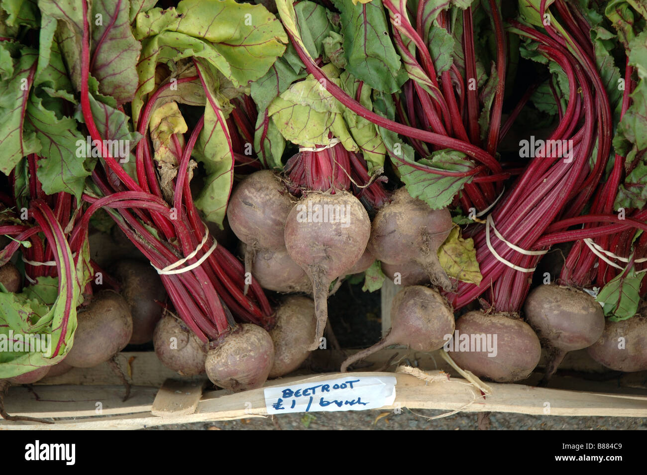 Beetroot uk hi-res stock photography and images - Alamy