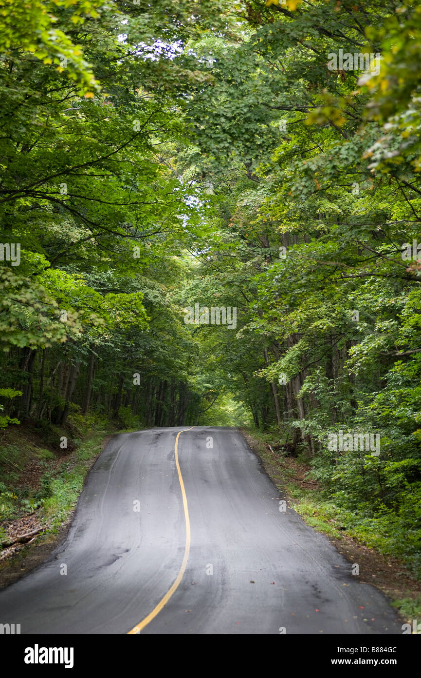 Muskoka, Ontario, Canada; Rural road Stock Photo - Alamy