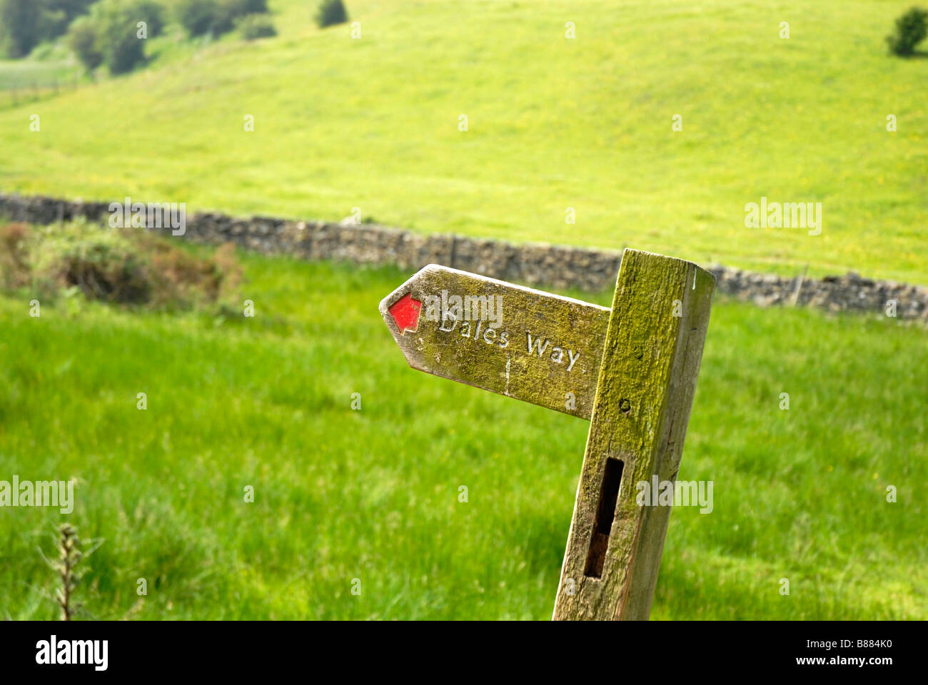Signpost with red arrow indicating 'Dales Way', with green fields and ...