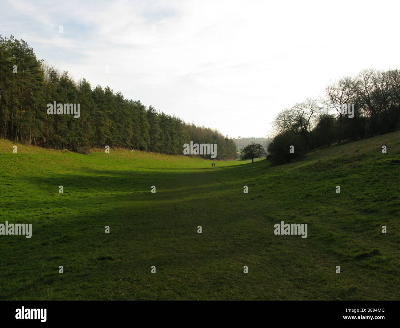 Dean's Bottom near Burford, Oxfordshire Stock Photo - Alamy