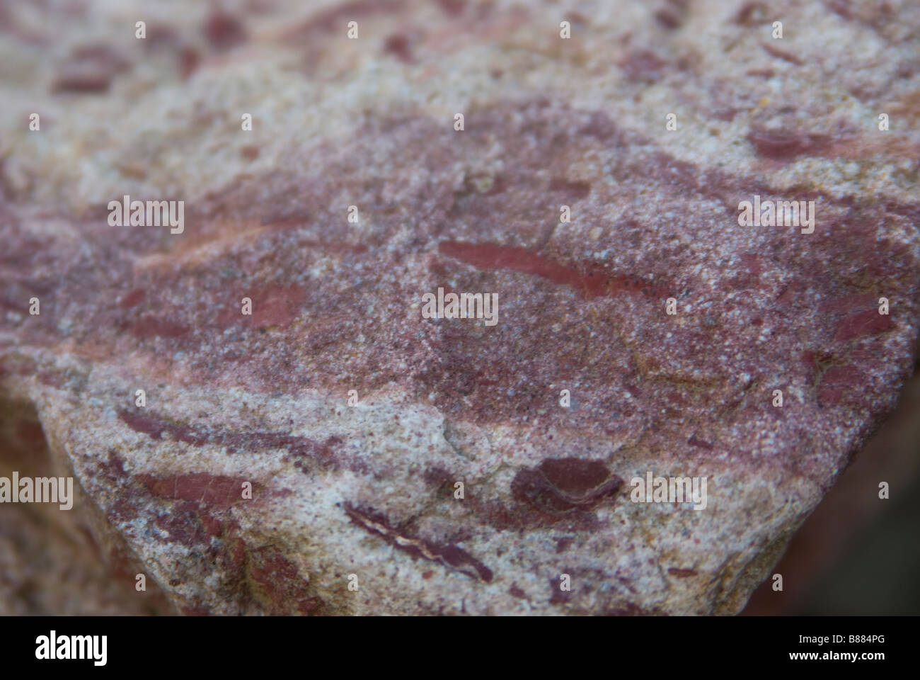 Close-up of the surface of a rock with a pretty structure and patterns ...