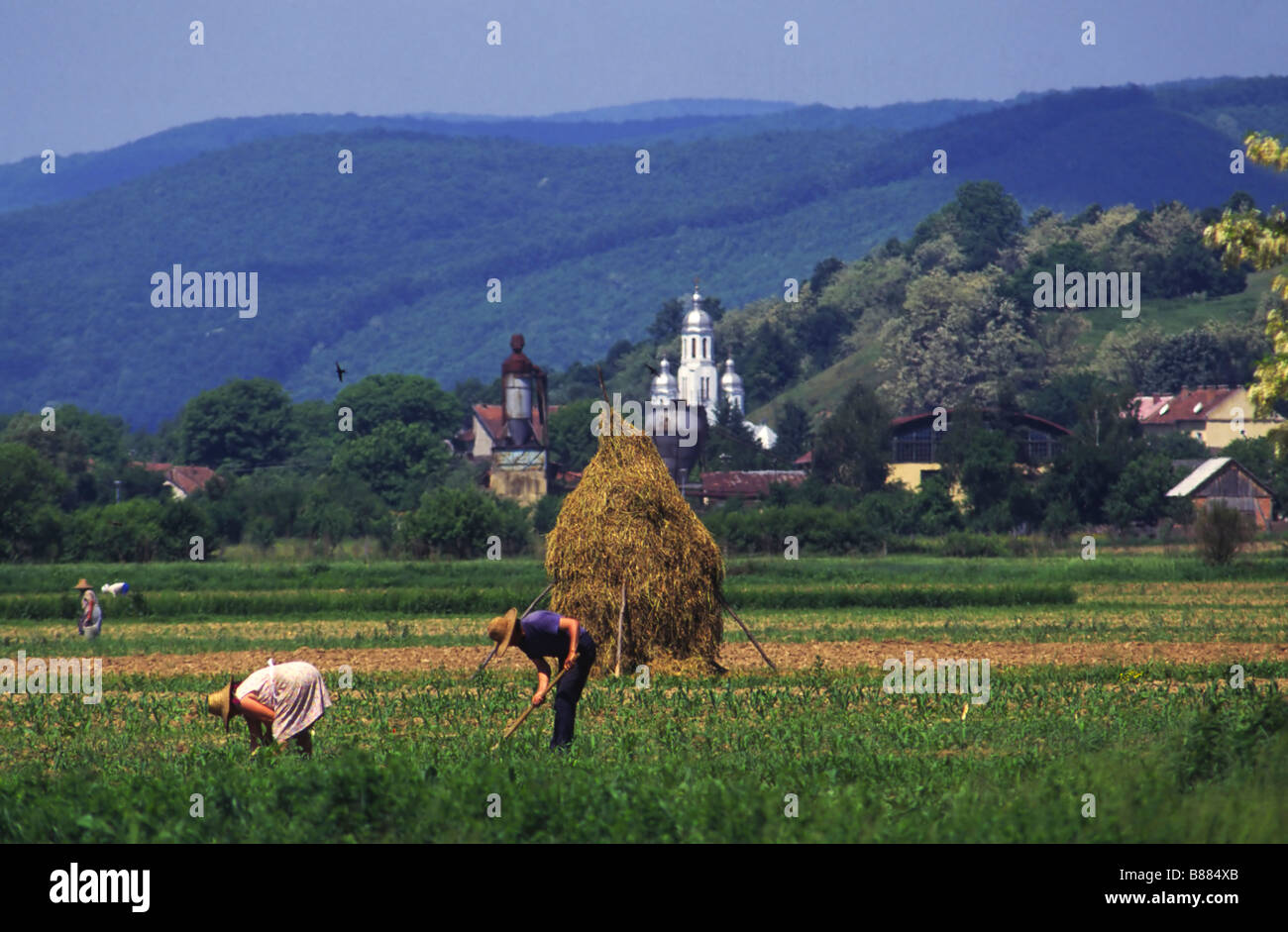 eastern europe rumania transylvania rural scene Stock Photo - Alamy