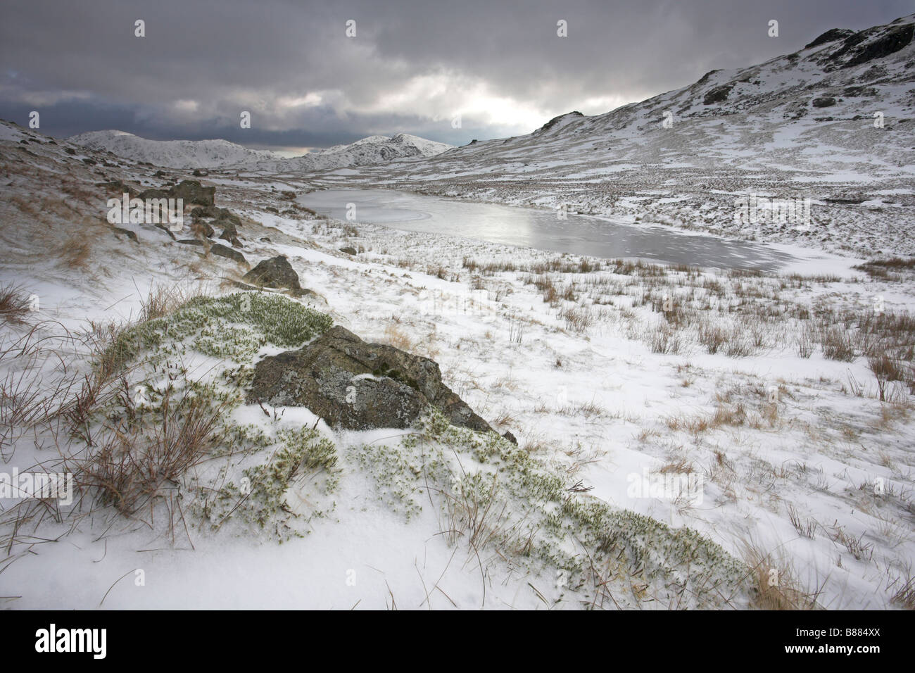 Frozen 'Red Tarn' a Lakeland Tarn high in The Langdale Pikes Great ...