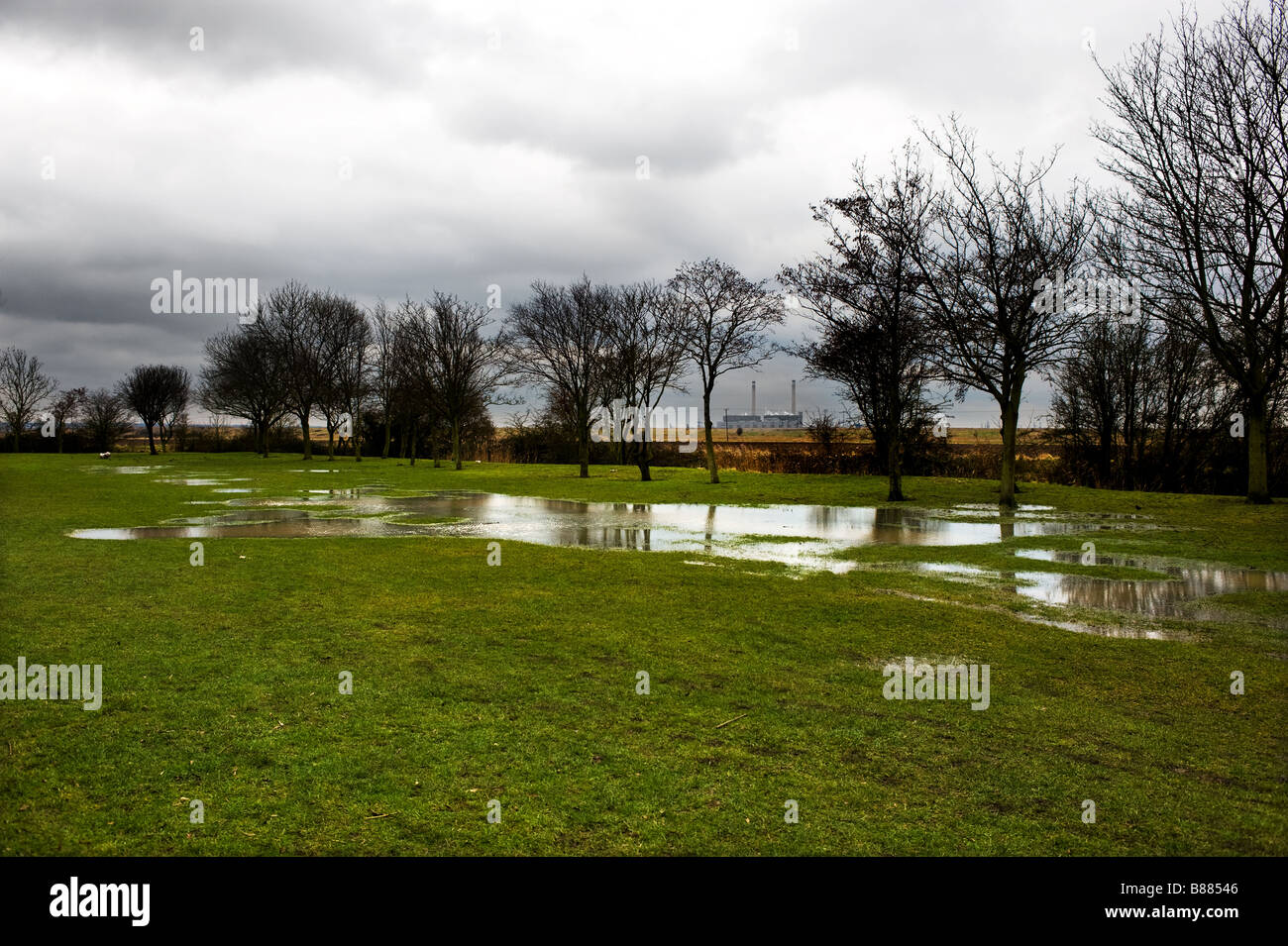 Flooded trees hi-res stock photography and images - Alamy