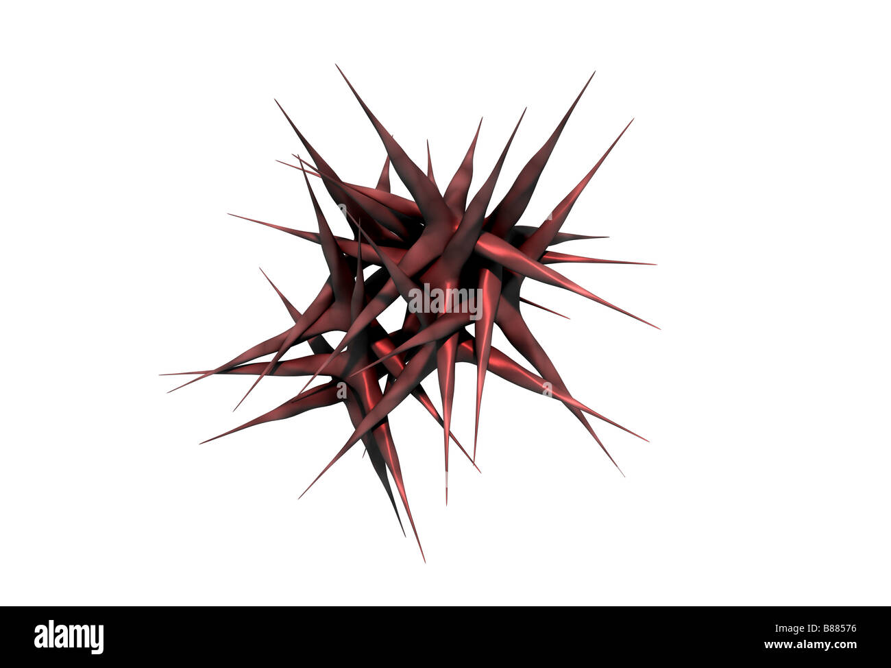 Thorns spikes Cut Out Stock Images & Pictures - Alamy