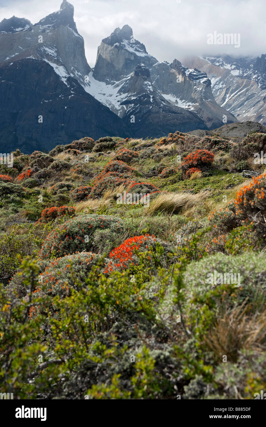 The 'Horns' in Torres del Paine National Park, Chile Stock Photo - Alamy