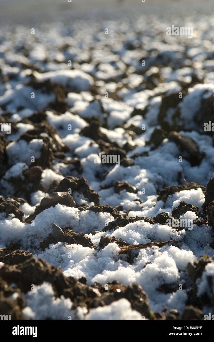 snow on ploughed field Stock Photo - Alamy