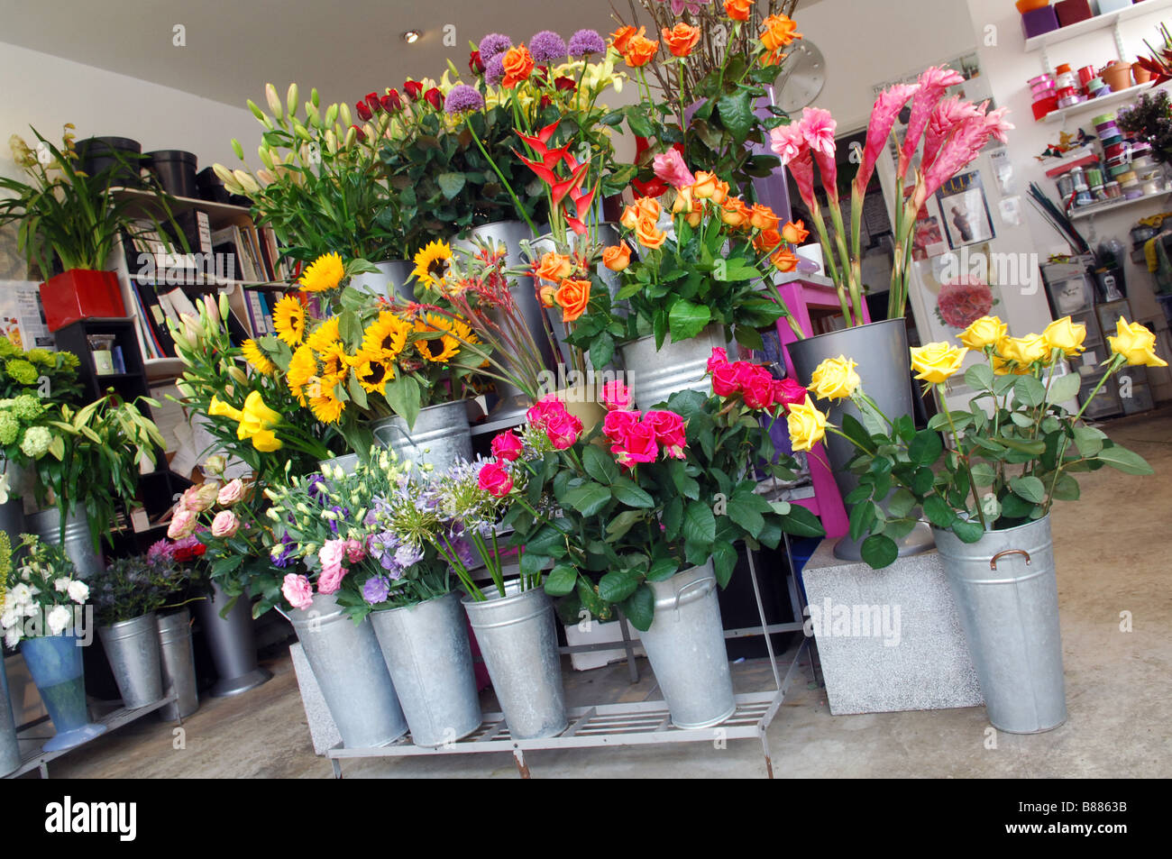 Displays different colors hi-res stock photography and images - Alamy