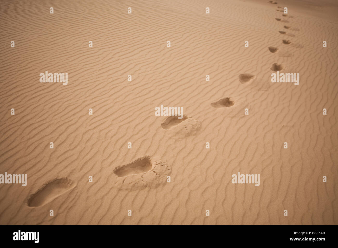 Human tracks over the sand Stock Photo - Alamy