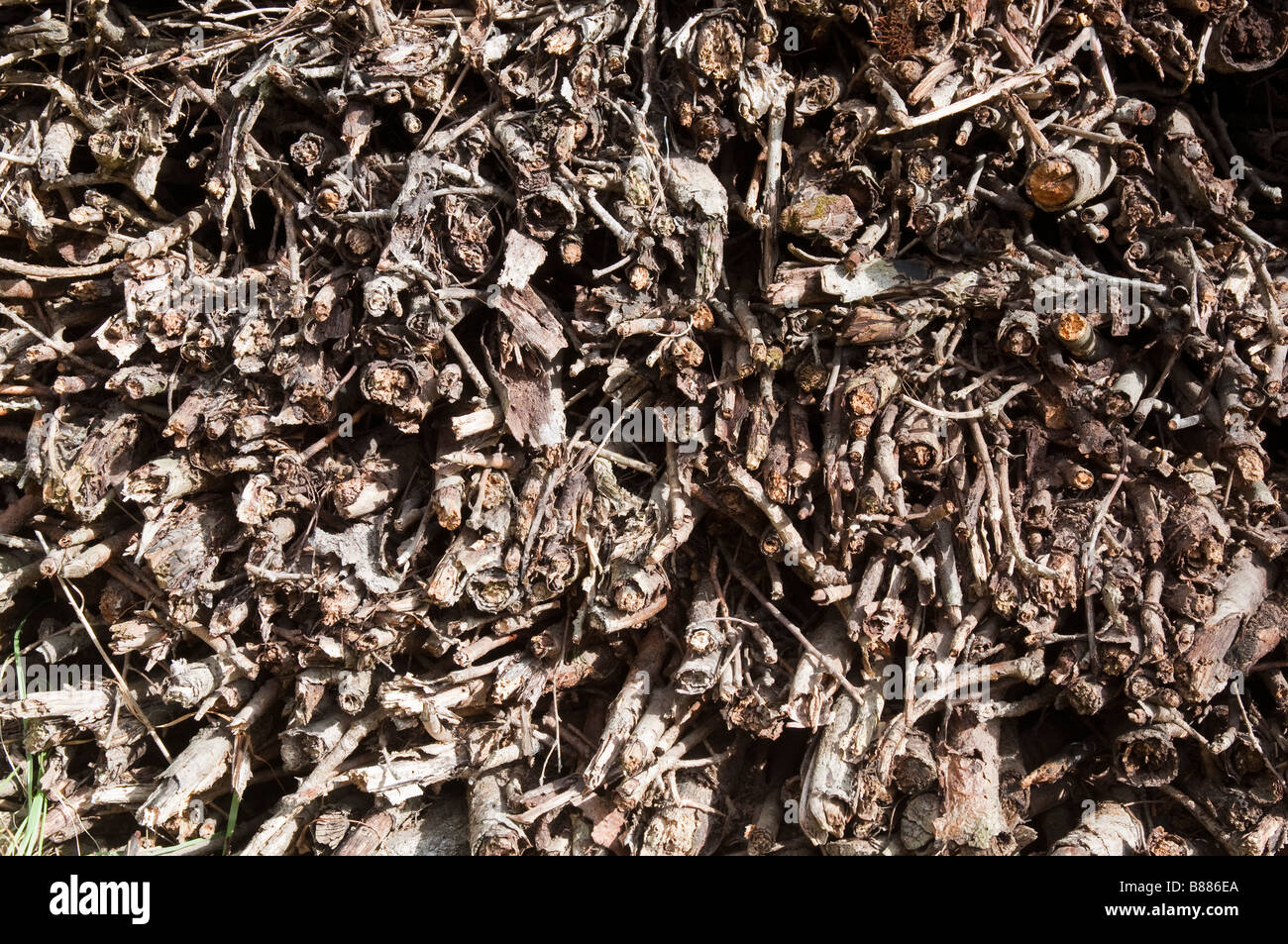 Pile of sticks hi-res stock photography and images - Alamy