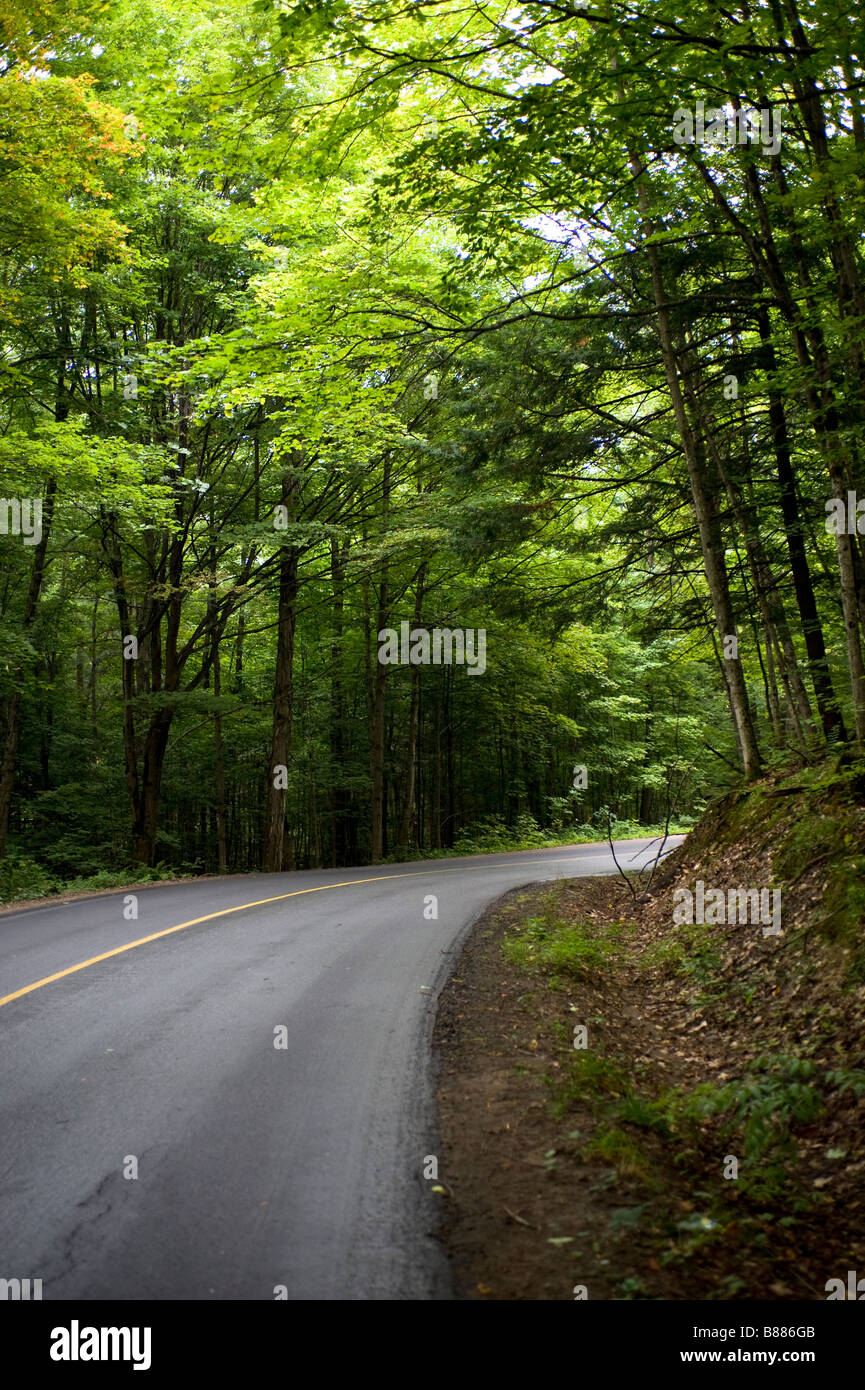 Muskoka woods hi-res stock photography and images - Alamy