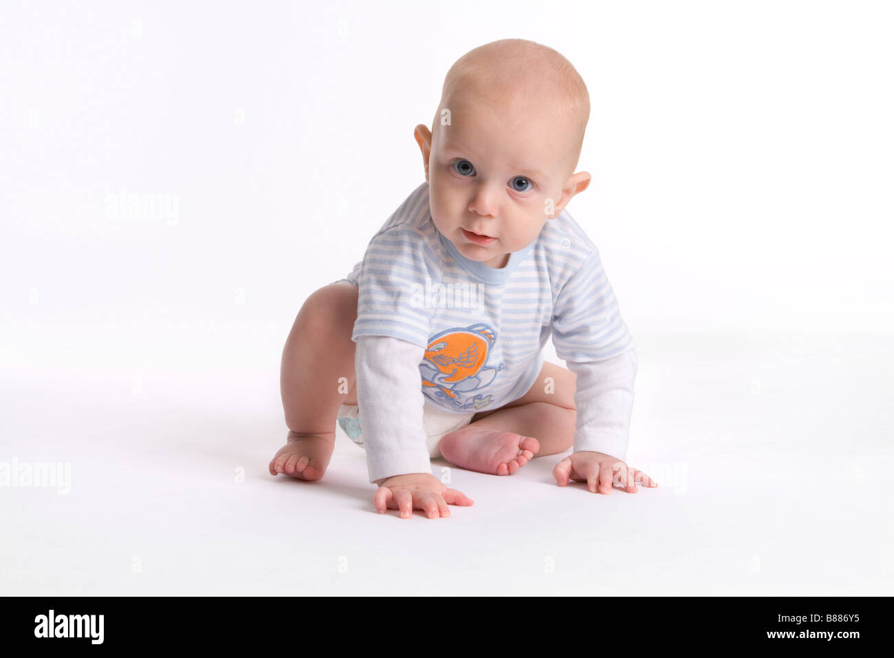 Portrait of a baby boy starting to crawl Stock Photo - Alamy