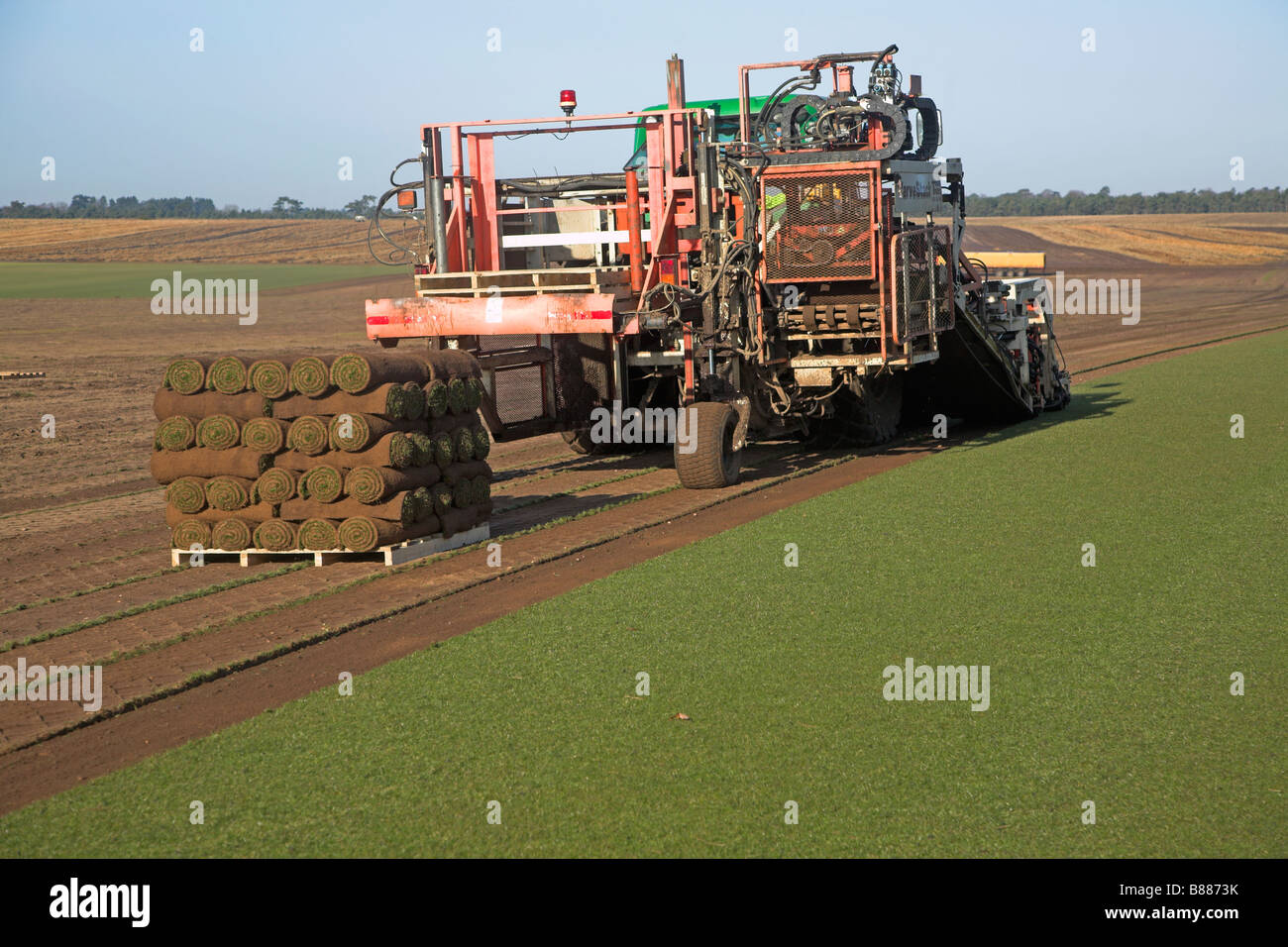 Commercial grass turf cutting sutton hi-res stock photography and ...