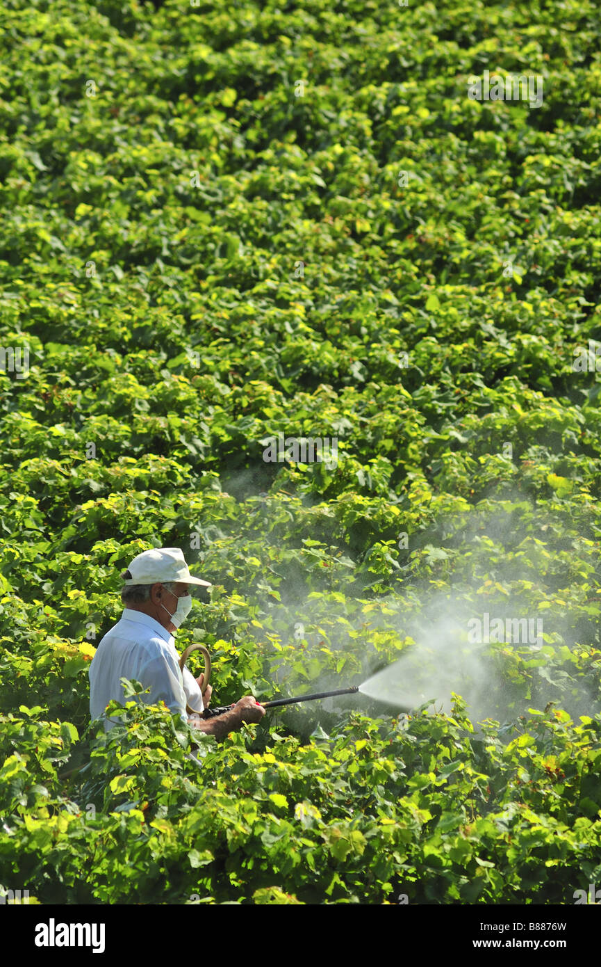Pesticides Spraying Hd