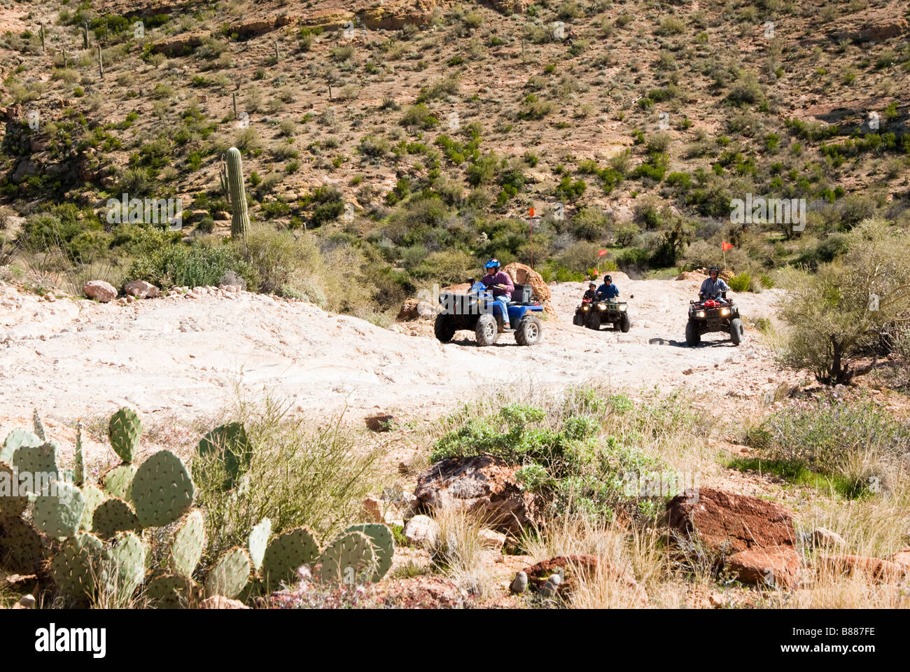 four wheeling on a desert trail Stock Photo - Alamy
