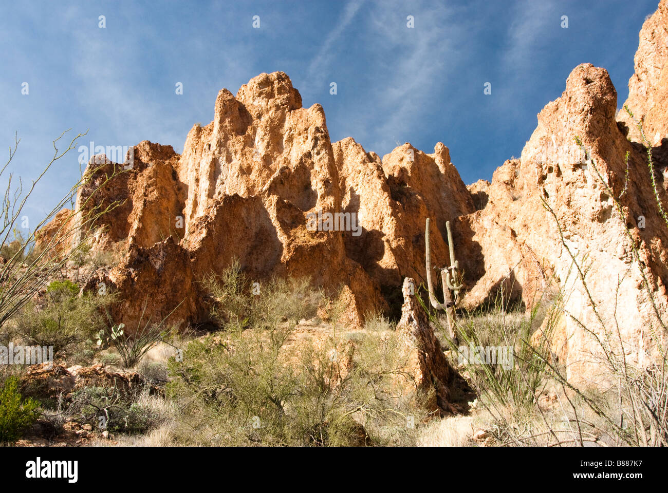 desert scenery in the Arizona wilderness Stock Photo - Alamy