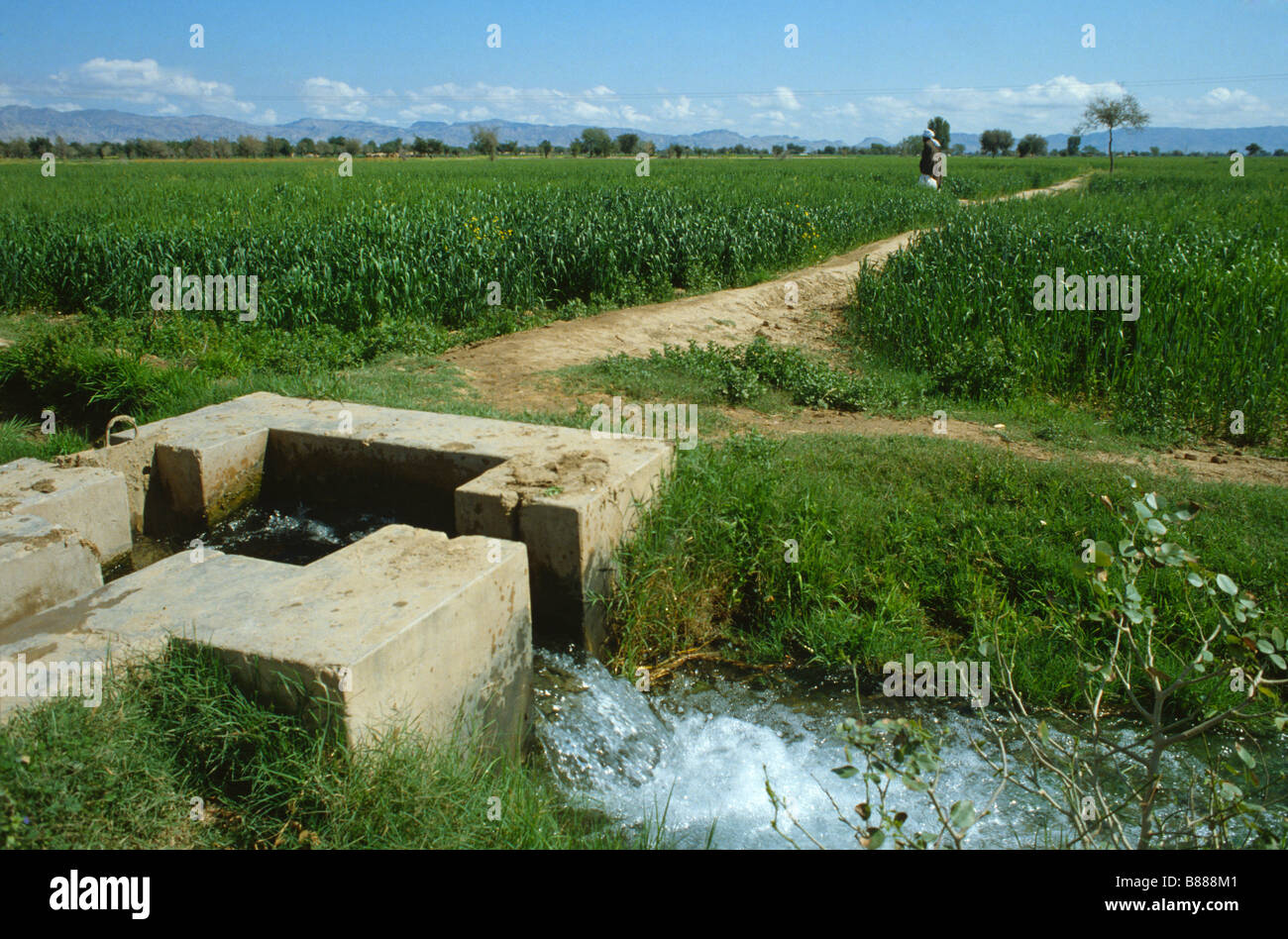 Punjab pakistan agriculture hi-res stock photography and images - Alamy