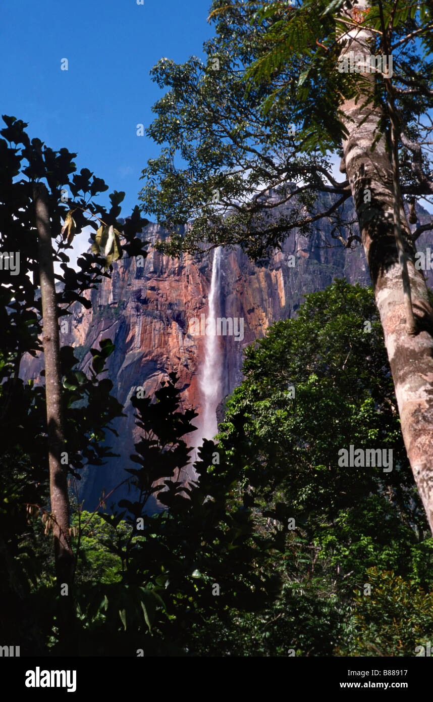south america Venezuela Canaima National Park Angel falls Stock Photo ...